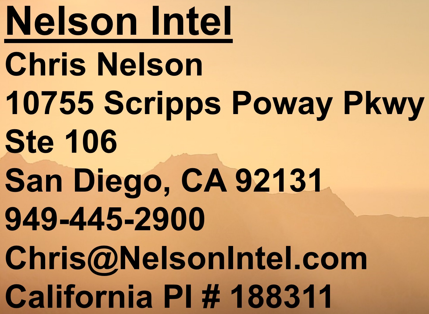 Nelson Intel home page