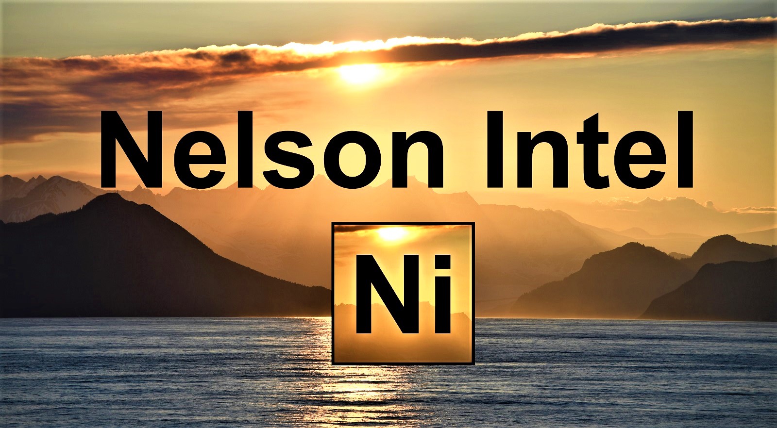 Nelson Intel home page